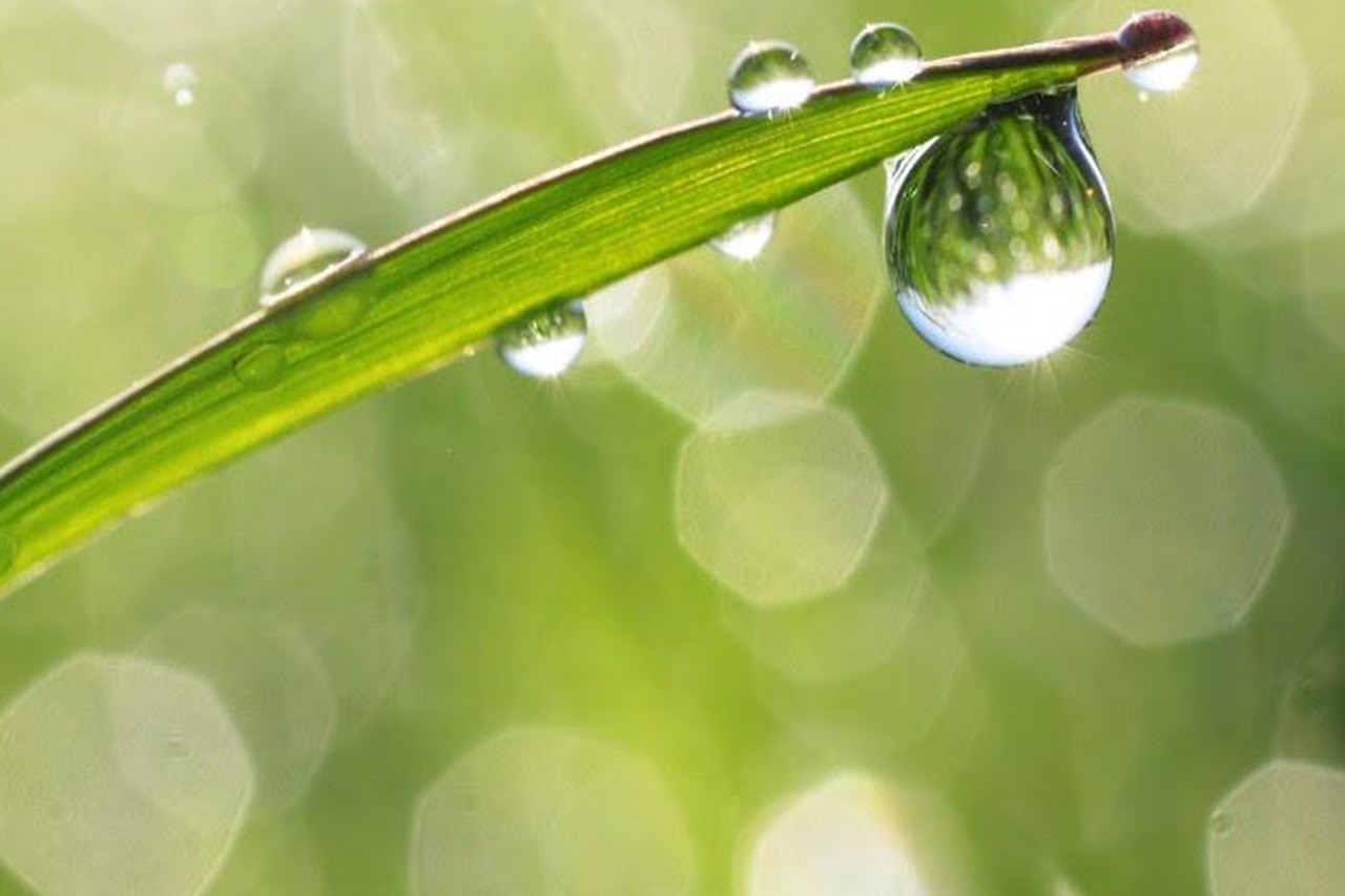 dew point temperature uk